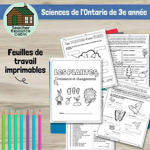 Grade 3 FRENCH Science Workbooks (NEW 2022 Ontario Curriculum) | TPT