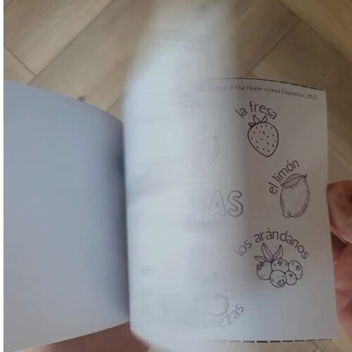 Beginner Spanish Basic Words Posters/ Flipbook A4+A5 Vocabulary ...