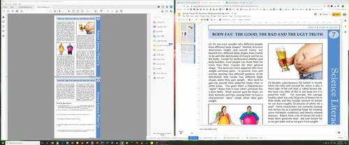 The Truth About Body Fat - Sub Plan / Science Reading #7 (Google Slide ...