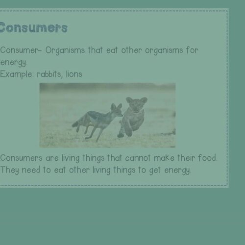 Cadenas alimentarias Vocabulario-Presentación PowerPoint y ...