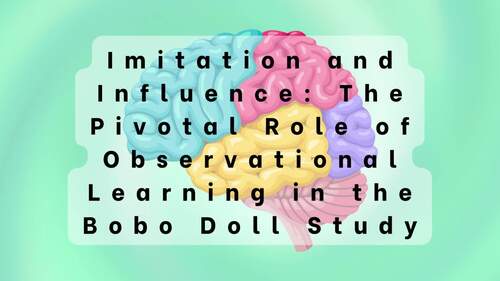 Imitation and Influence: The Role of Observational Learning in the Bobo ...