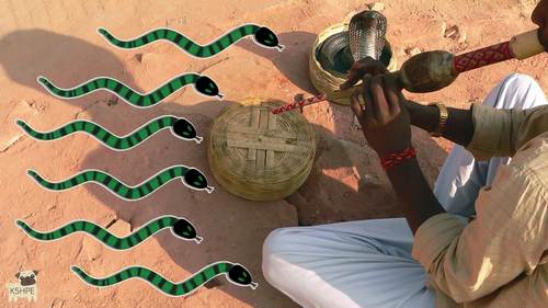 Snake Slither Dance Creative Movement by K5 Hidden Peak Education