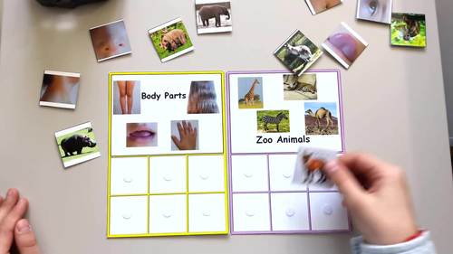 CATEGORIES Speech Therapy Activity Sorting Objects Autism Special Ed Set 1