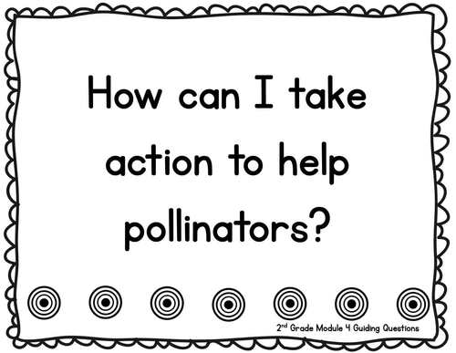 EL Second Grade LEARNING TARGETS Module 4 by Mande Land | TPT