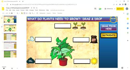 What Do Plants Need?: Drag & Drop Worksheet: Google Slides + Powerpoint
