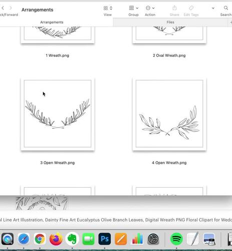 Botanical Line Art Illustration, Fine Art Eucalyptus Olive Branch ...