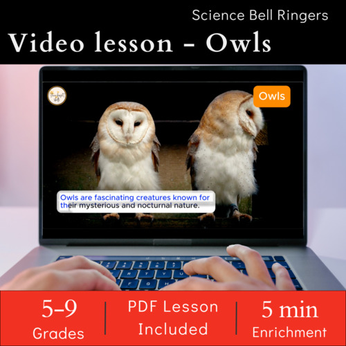 Science bell ringer video (4 min) - Owls - Middle school by Shine ...