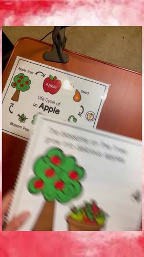 Apple Life Cycle [Flip Book & Activities] by Preschoolers and Sunshine