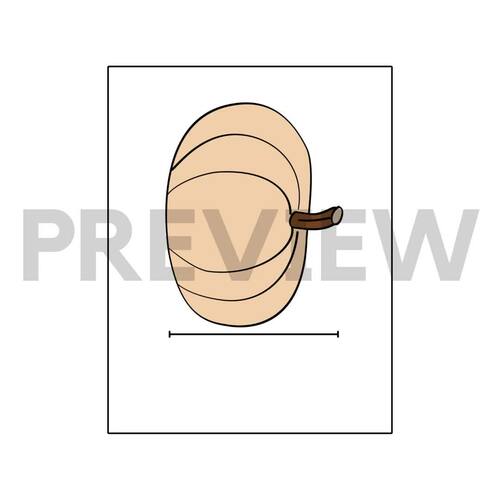 Pumpkin Measuring | Math Activity | Fall Theme | Pre-K by Peachy in Pre-K