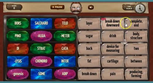 BIOLOGY Root/Prefix/Suffix DOODLE PAGES ~Year Long Bundle~ by Teamwork ...