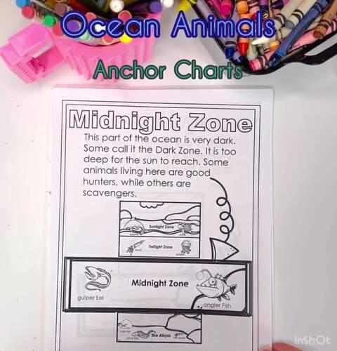 Ocean Animals Word Wall | Write the Room | Bulletin Board | Sort ...