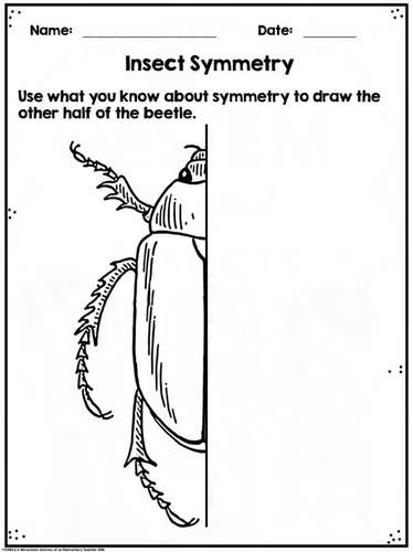 Insect STEM 12 Challenges by TCHR Two Point 0 | TPT