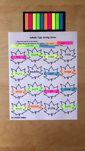 Syllable Types Phonics Worksheets Seasonal BUNDLE by SLP Literacy Corner