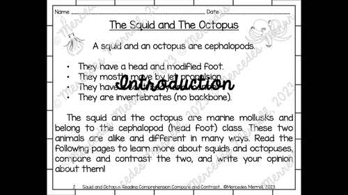 Squid and Octopus Reading Comprehension Compare and Contrast Plus ...