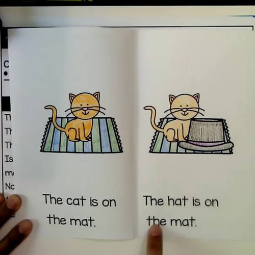 CVC Word Family Decodables and Work | Bundle | Science of Reading