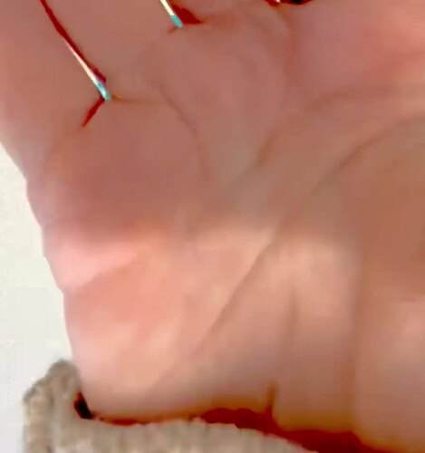 Shark Lady Eugenie Clark Interactive Read Aloud and Activities | Women ...