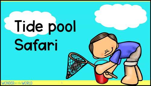 Tide pool beach habitat animals PowerPoint Google Slides word wall ...