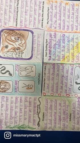 Mini Book Book Report by Miss Mary Mac | TPT