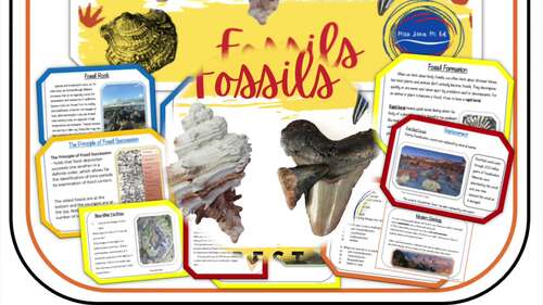 Geologic Change Over Time Fossils 6th Grade Science by Mrs Lena | TPT