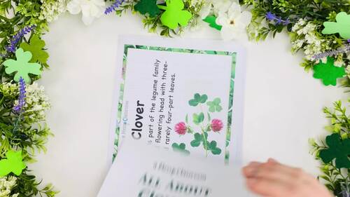Shamrock Clover Irish Nonfiction Reading Unit RI.2.2 Main Topic Lesson ...
