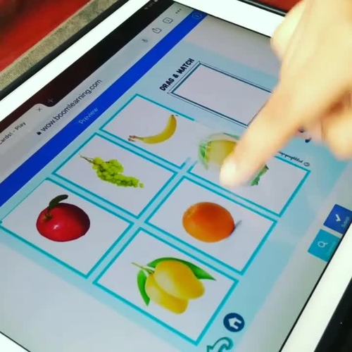 Fruit and Vegetable Sorting Activity for Special education | Boom Cards ...