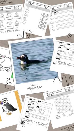 Ocean, Zoo Arctic Animals Vocabulary & Fine Motor Skills activities