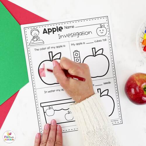 Apple Activities Life Cycle Sequencing Parts Of An Apple Craft + MORE
