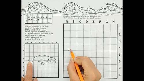 Ocean Animal Grid Drawing Set, Cognitive Drawing End of Year Activity ...