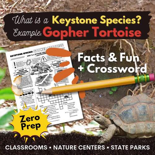 KEYSTONE SPECIES: Gopher Tortoise - Facts, Vocab, and Crossword by ...