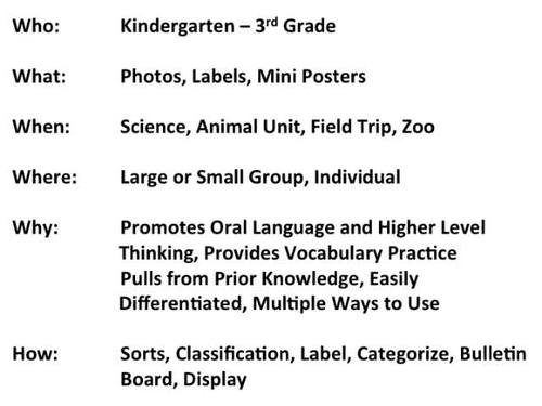 Animal Classification Sort (Mammal, Fish, Reptile, Bird) Real Photos