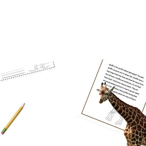 All About Giraffes Thematic Non-Fiction Unit - Zoo Animal Research