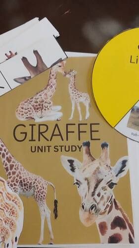 Giraffe Unit Study | 53 Page Homeschool Nature Study | Classroom ...