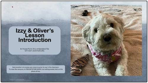 BEING UNIQUE Diversity Tolerance Social-emotional Learning SEL Lesson w ...