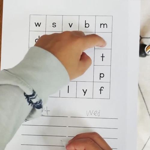 Phoneme Grapheme Mapping for Orthographic Mapping of Phonics Skills