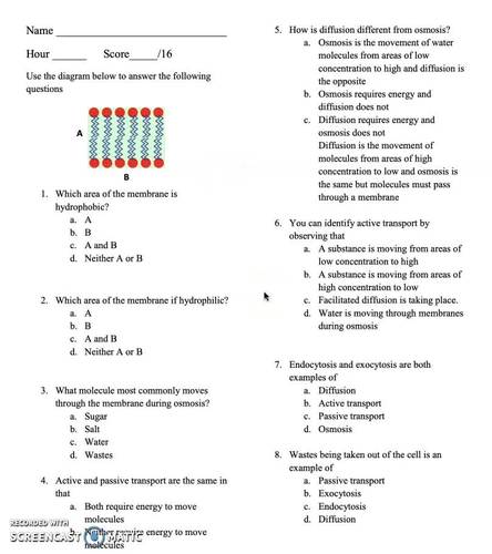 Cell Transport Vocabulary Building Standardized Test Assessment | TPT
