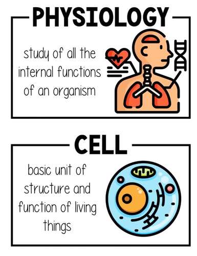 Science Word Wall Cards for Middle School | Cells and Body Systems ...
