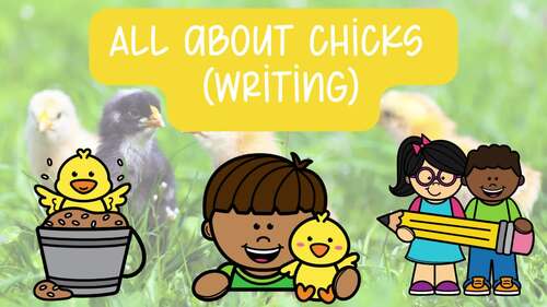 All About Chicks Writing Chicks Unit Farm PreK Kindergarten First TK ...