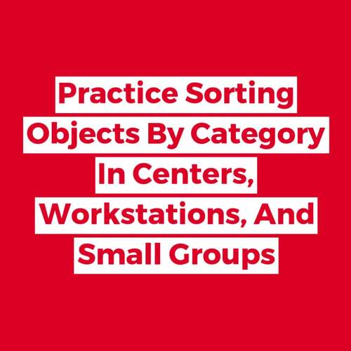 Sort By Category Mats (W/Real Photos) by File Folder Heaven | TPT