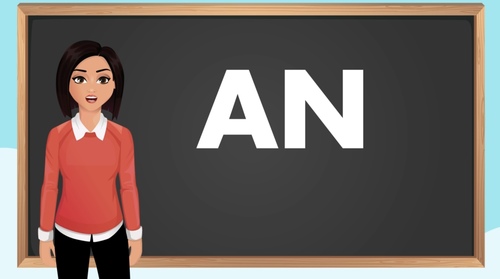 AN Word Family by BLOOM English Learning | TPT