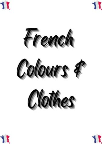 French Colours and Clothes Worksheets by Worksheet Whisperer | TPT