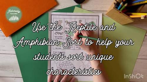 Reptile and Amphibian Characteristics Sort by Naturally Teaching
