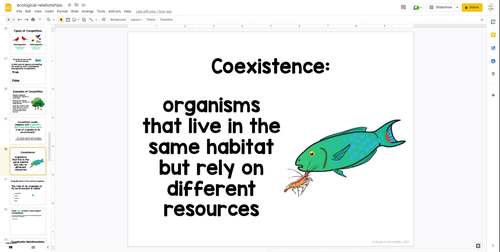 Ecological Relationships - Organism Interactions in Ecosystems | TPT