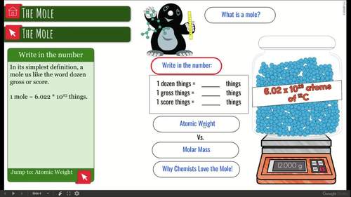 The Mole Interactive Diagram by Science With Mrs Lau | TPT