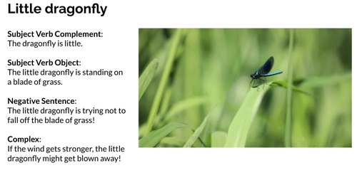 Concepts in action: Little (a level 1 size concept) by Speechies in ...