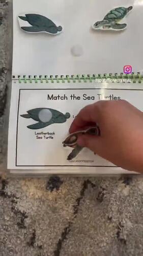 Sea Turtles: Interactive Comprehension Book by EducationPotential