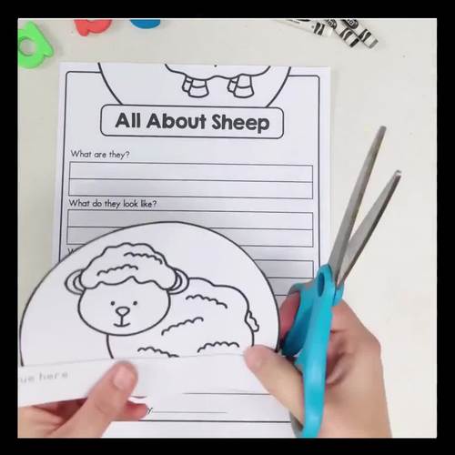 All About Sheep | Farm Animal Writing | Label a Sheep | Information Report