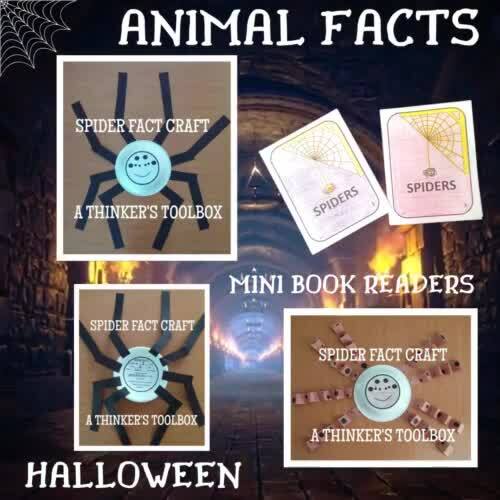 Spider Fact Activities & Mini Book Reader by A Thinker's Toolbox