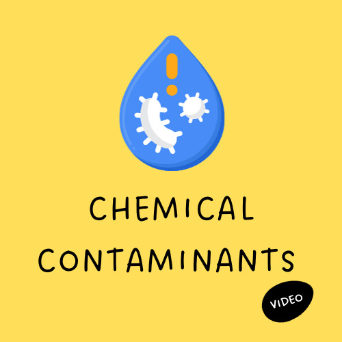 Food Safety - Cross Contamination Video by Chat and Chew | TPT