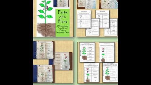 Life Science- Parts of a Plant UNIT BUNDLE (VAAP, ORExt) Differentiated