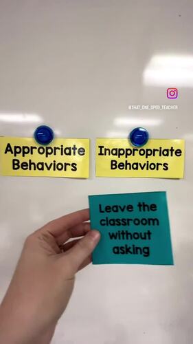 Appropriate / Inappropriate Behavior Sort by That One SPED Teacher